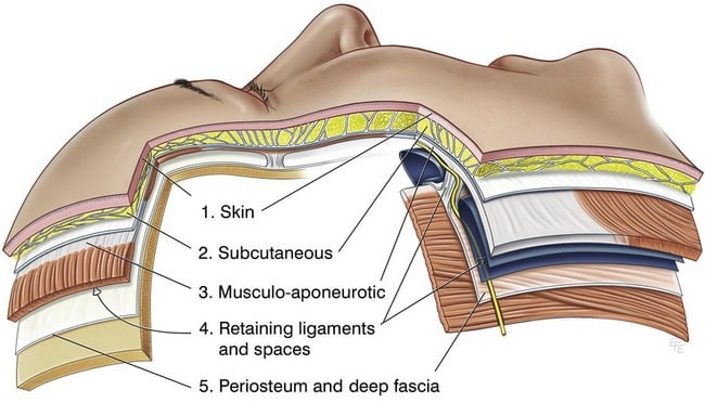 The SMAS Facelift: A Comprehensive Guide For Patients